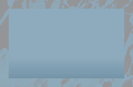 Western Force Store – Western Force Team Store